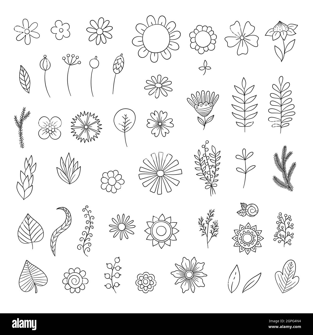 Germogli di fiori. Semplice collezione floreale botanica foglie fiori ...