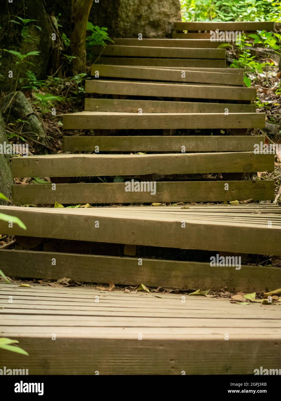 Parco delle vie del ponte di legno delle scale immagini e fotografie ...