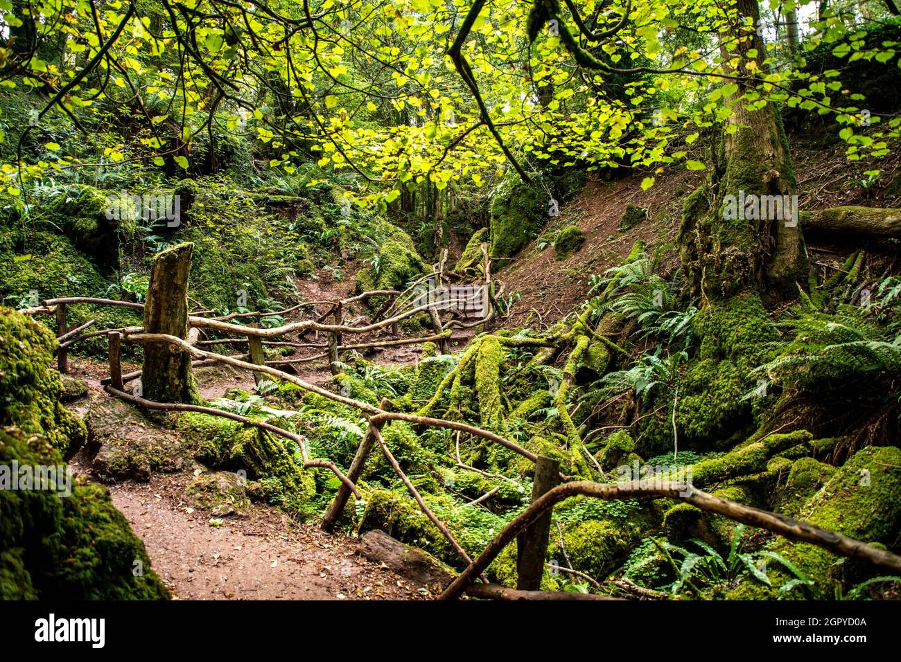 Dean potter immagini e fotografie stock ad alta risoluzione - Alamy