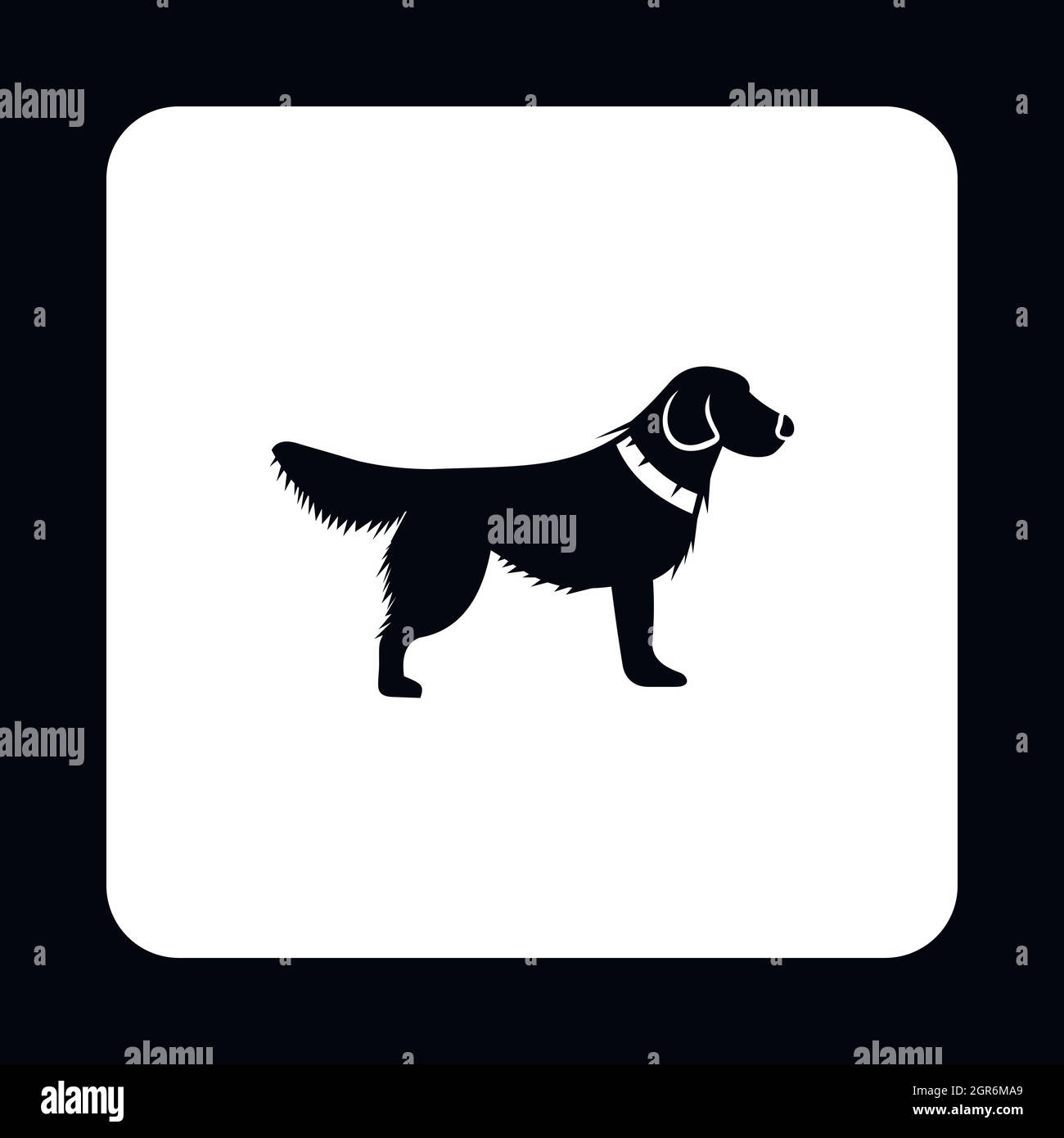 Stile cane da corsa immagini e fotografie stock ad alta risoluzione - Alamy