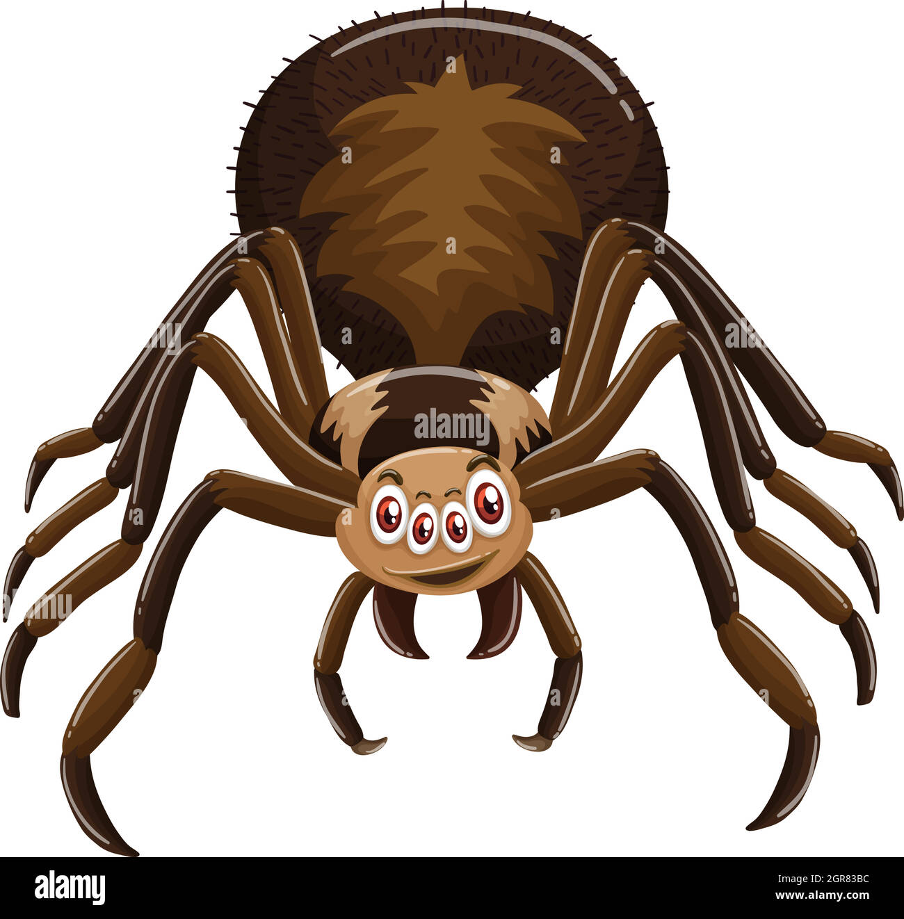 Ragno su sfondo bianco immagini e fotografie stock ad alta risoluzione ...