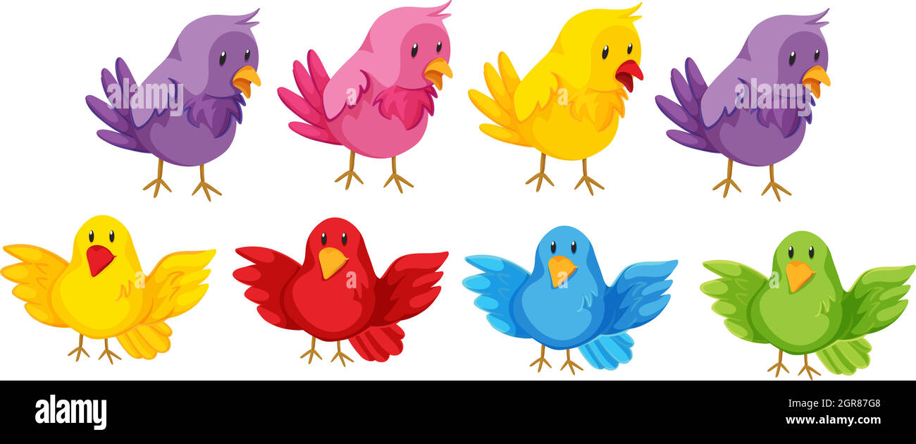 Piuma colorata Immagini Vettoriali Stock - Alamy