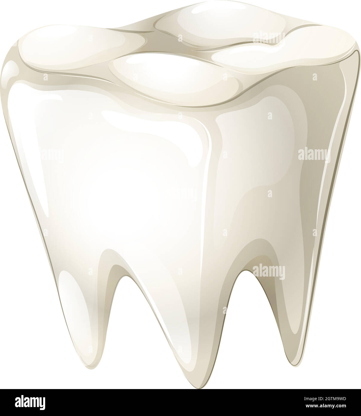 Radice di un dente immagini e fotografie stock ad alta risoluzione - Alamy