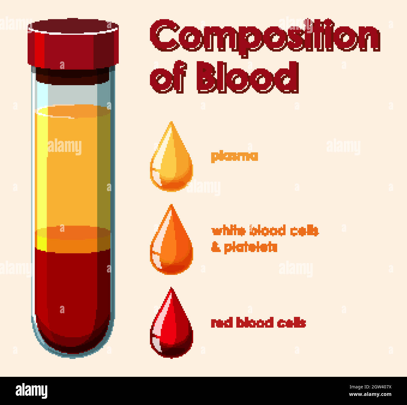Cartoon illustration white blood cell immagini e fotografie stock ad ...