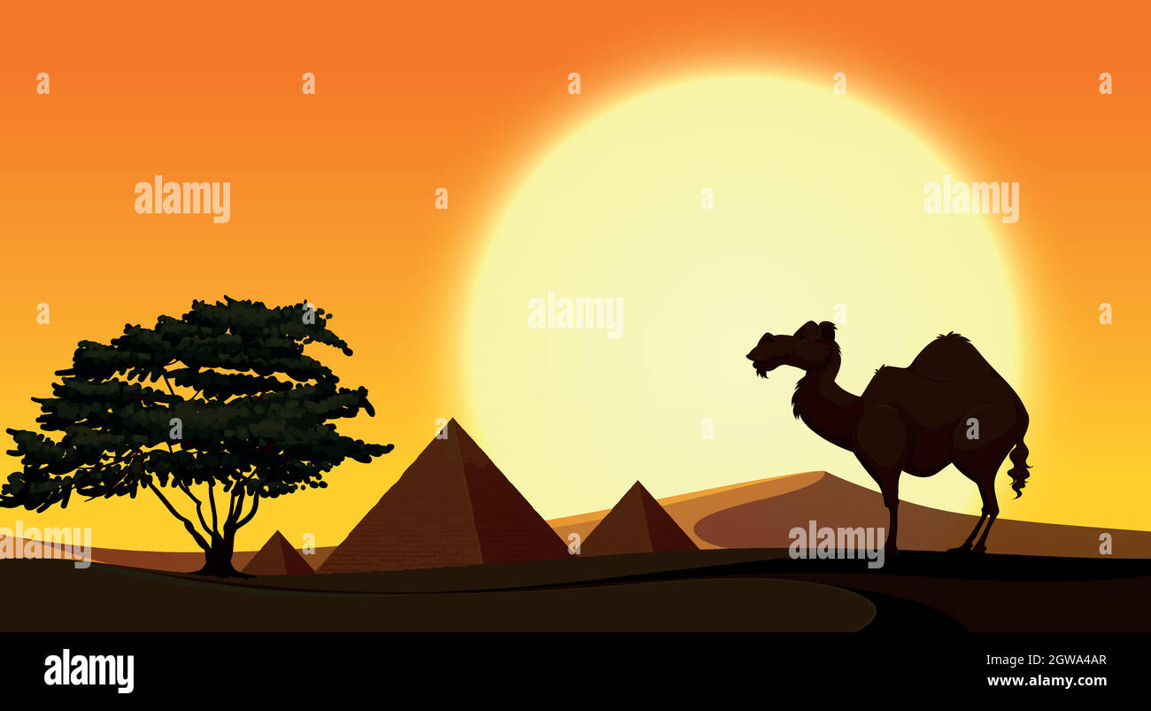 Piramide al tramonto Immagini Vettoriali Stock - Alamy