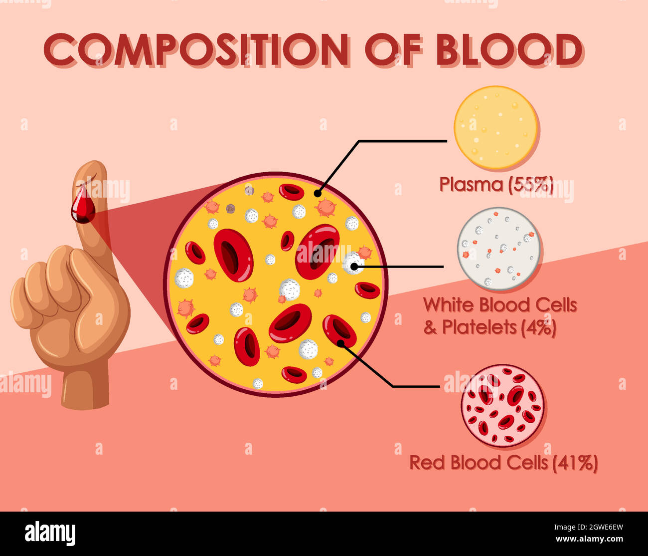 Cartoon illustration white blood cell immagini e fotografie stock ad ...