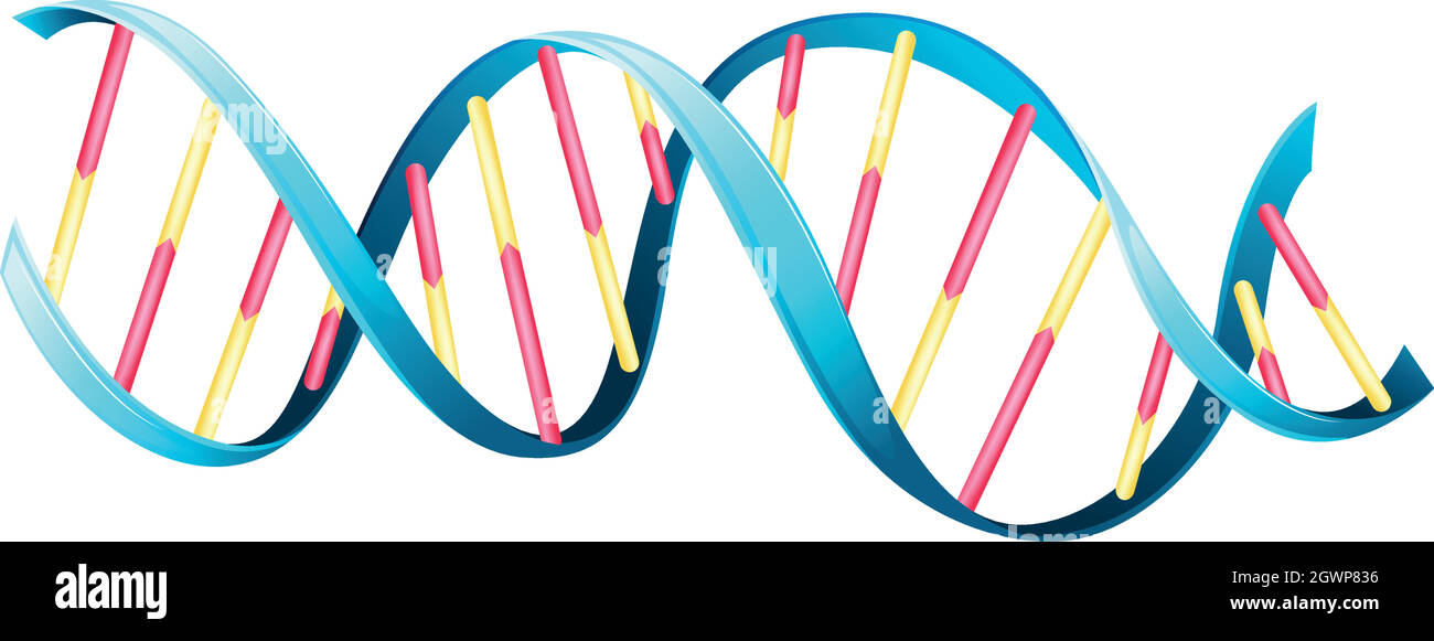 Nucleo del dna immagini e fotografie stock ad alta risoluzione - Alamy