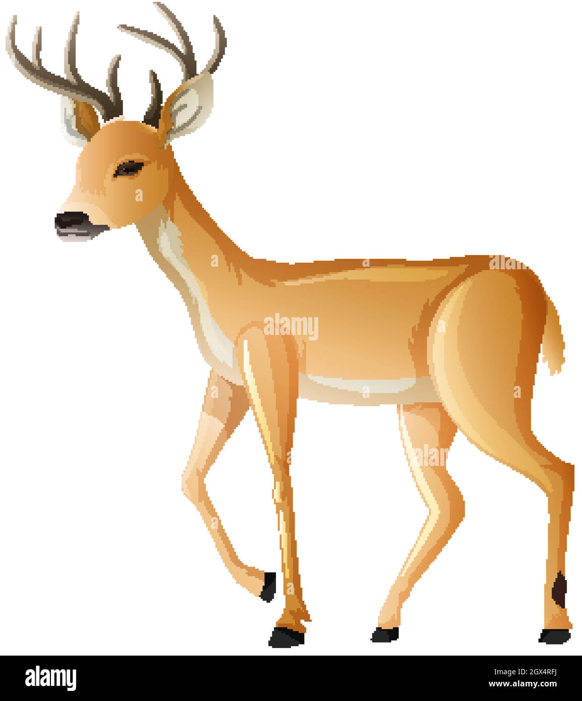 Personaggio dei cartoni animati di cervo Immagini senza sfondo e Foto ...