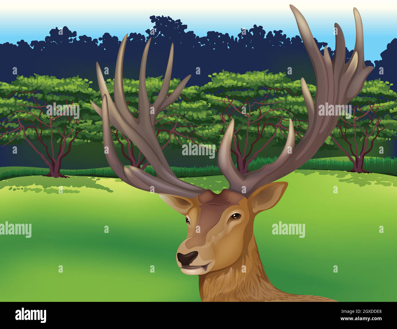 Capriolo disegno immagini e fotografie stock ad alta risoluzione - Alamy