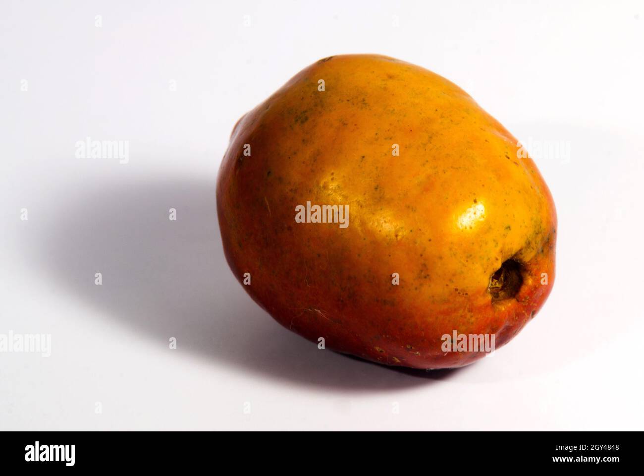 Jocote spondias purpurea immagini e fotografie stock ad alta ...