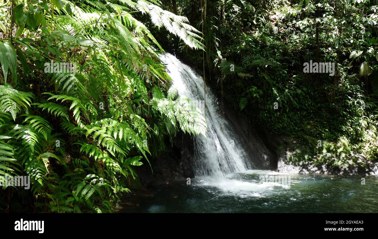Cascata ai tropici immagini e fotografie stock ad alta risoluzione - Alamy