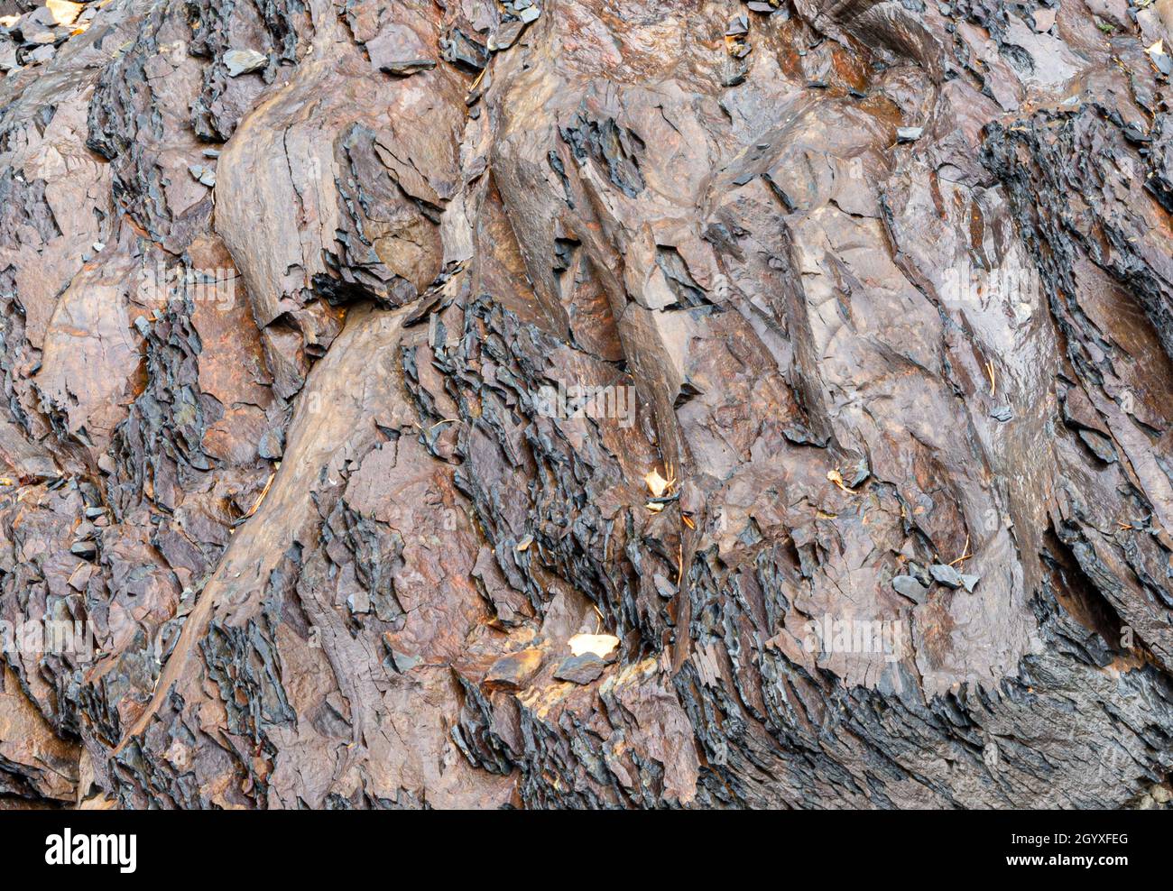 Rocce sedimentarie clastiche immagini e fotografie stock ad alta ...