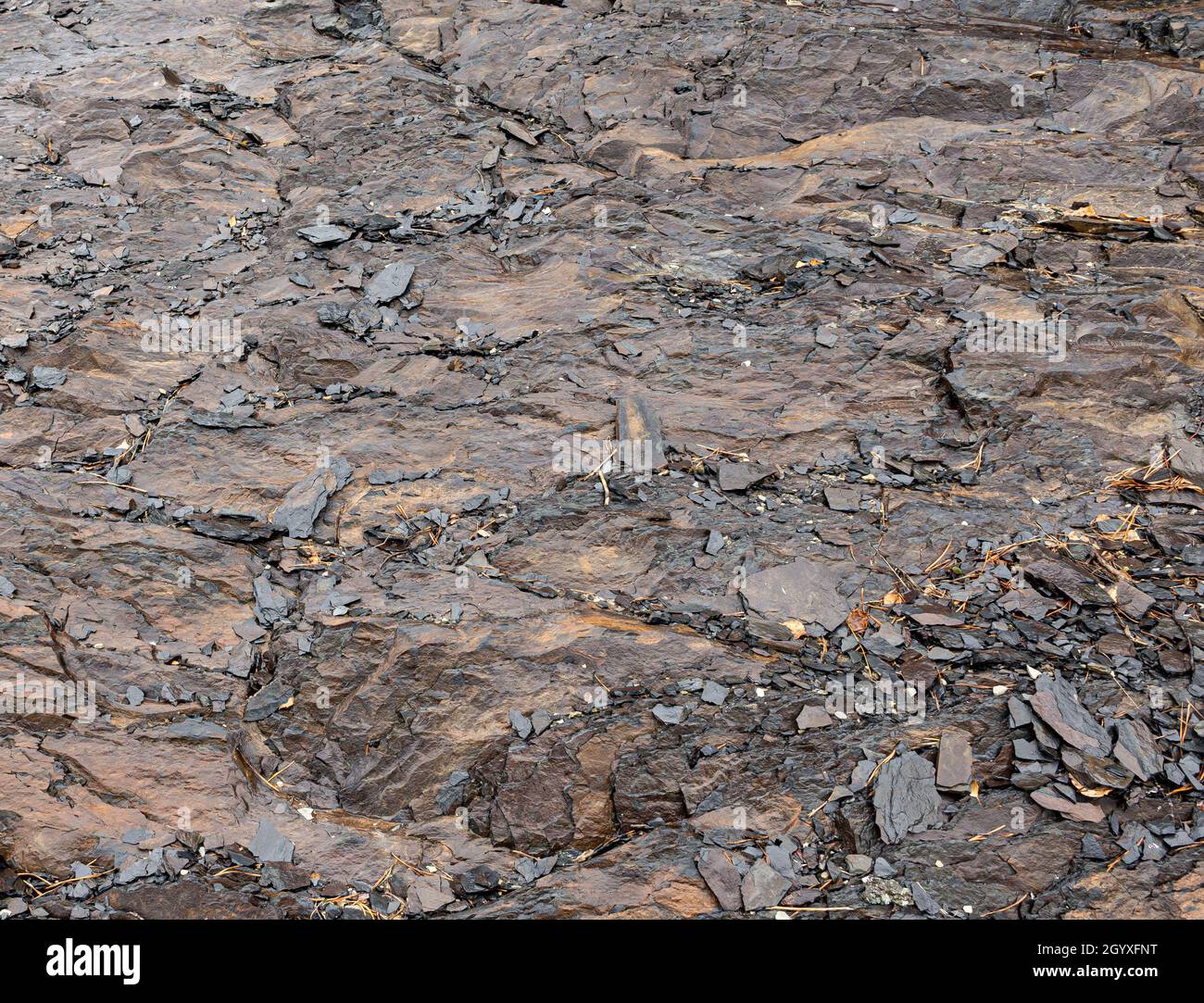 Rocce sedimentarie clastiche immagini e fotografie stock ad alta ...