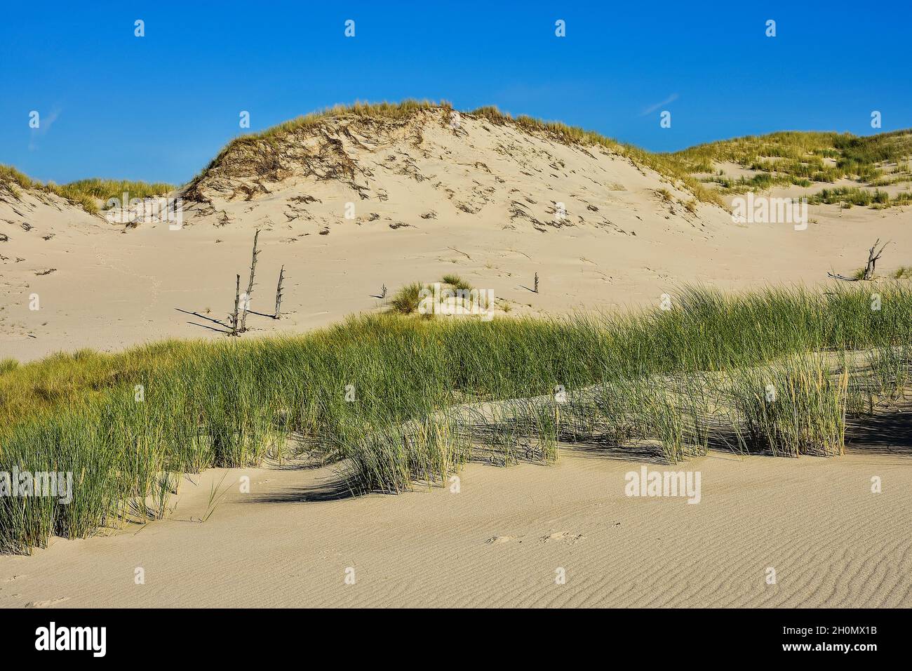Duna mancante immagini e fotografie stock ad alta risoluzione - Alamy