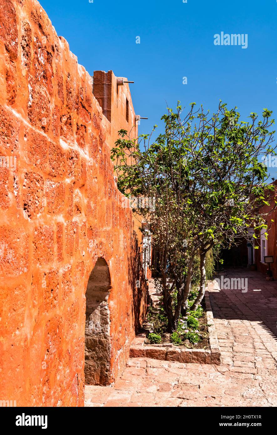 Chiesa di santa catalina siena immagini e fotografie stock ad alta risoluzione - Alamy