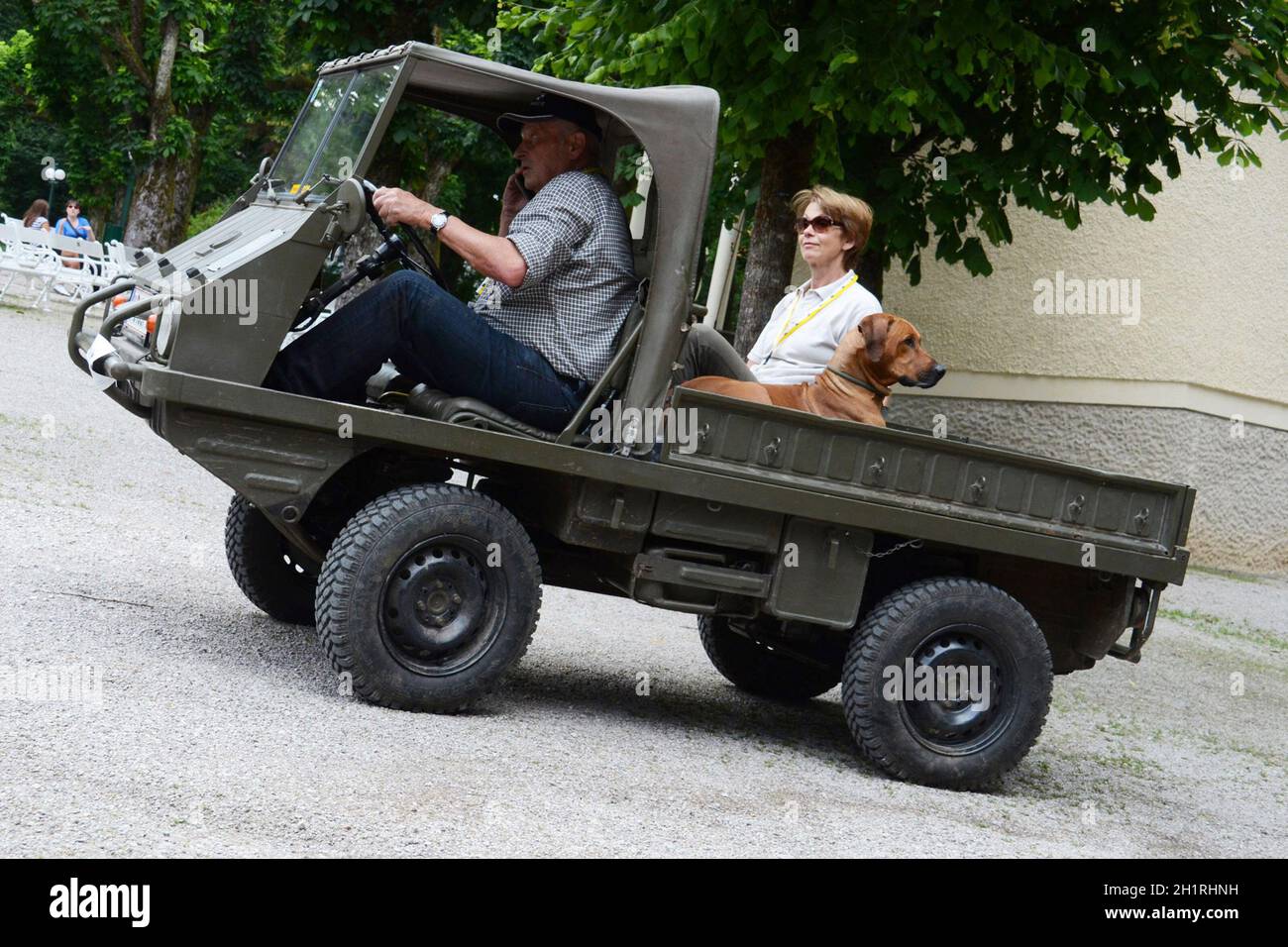 Treffen von Steyr-Puch Haflinger Geländewagen a Bad Ischl, Österreich ...