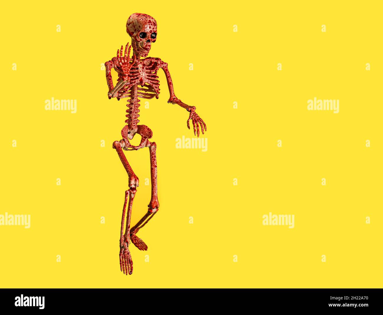 Skeleton human anatomy walking immagini e fotografie stock ad alta ...