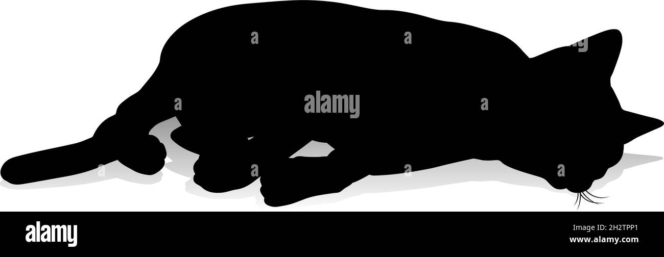 Sagoma di gatti Immagini Vettoriali Stock - Alamy