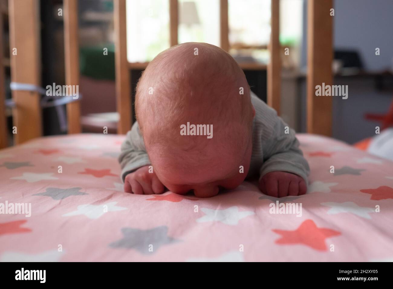 Strisciare sulla pancia immagini e fotografie stock ad alta risoluzione ...