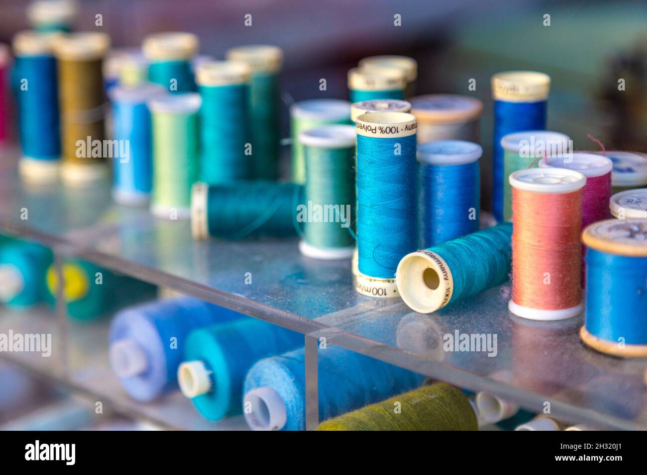 Filo della vita immagini e fotografie stock ad alta risoluzione - Alamy