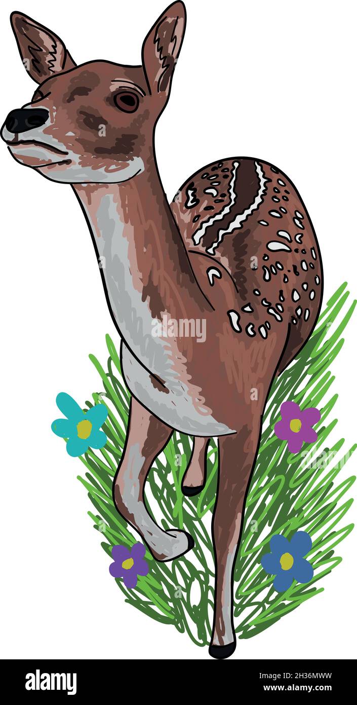 Capriolo disegno immagini e fotografie stock ad alta risoluzione - Alamy