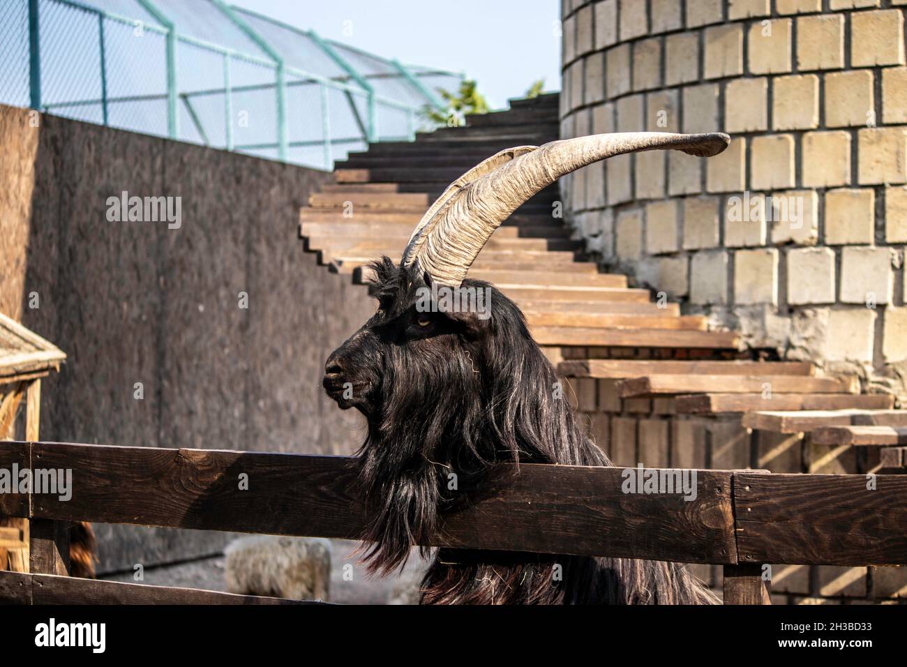 Paddock in legno immagini e fotografie stock ad alta risoluzione - Alamy