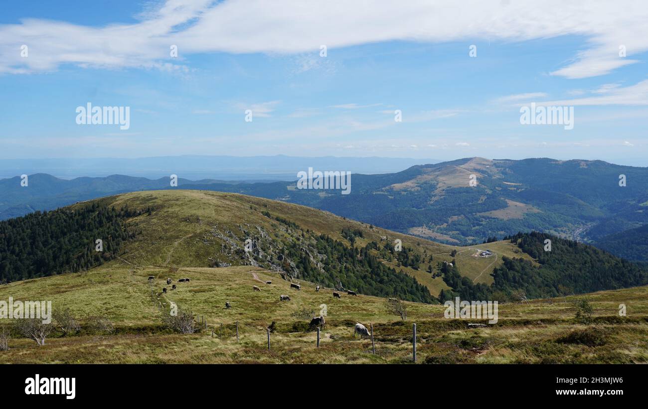 Vogesen vogesen immagini e fotografie stock ad alta risoluzione - Alamy