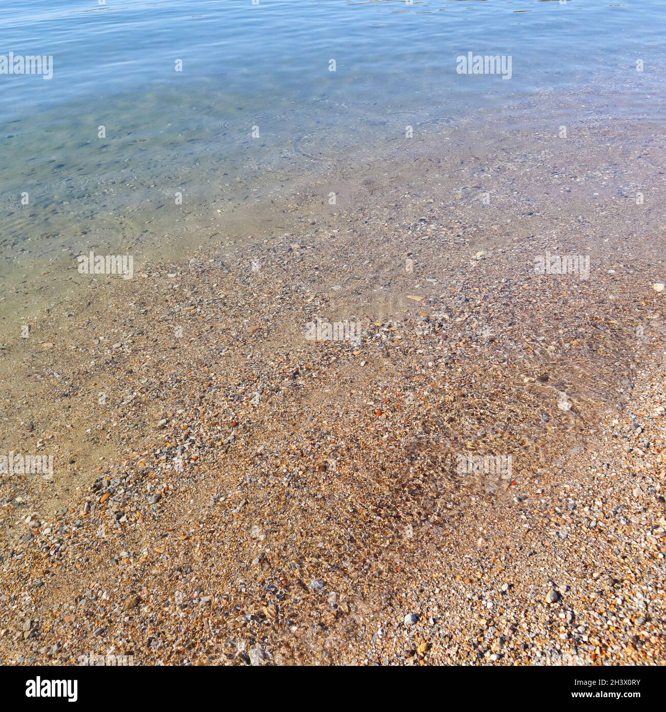 Pesce colorato del mar mediterraneo immagini e fotografie stock ad alta ...