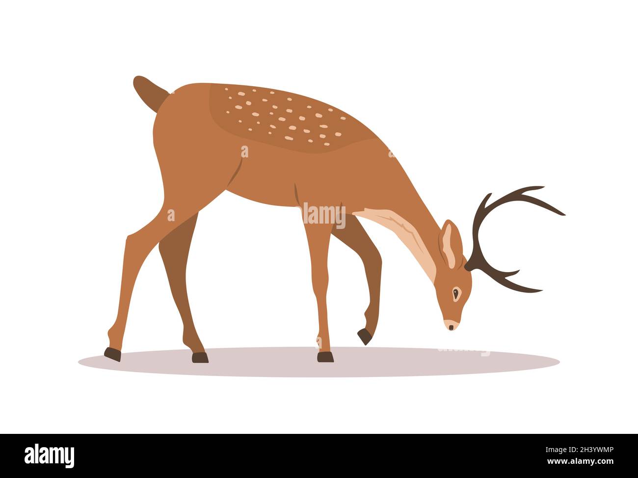 Cervo maculato bianco Immagini Vettoriali Stock - Alamy