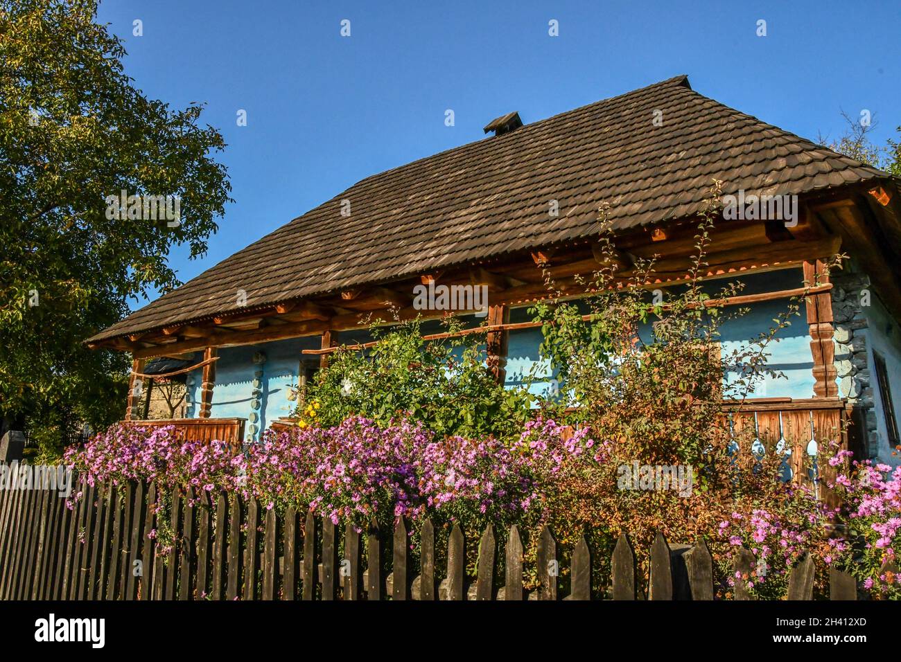 Slava ukraina immagini e fotografie stock ad alta risoluzione - Alamy