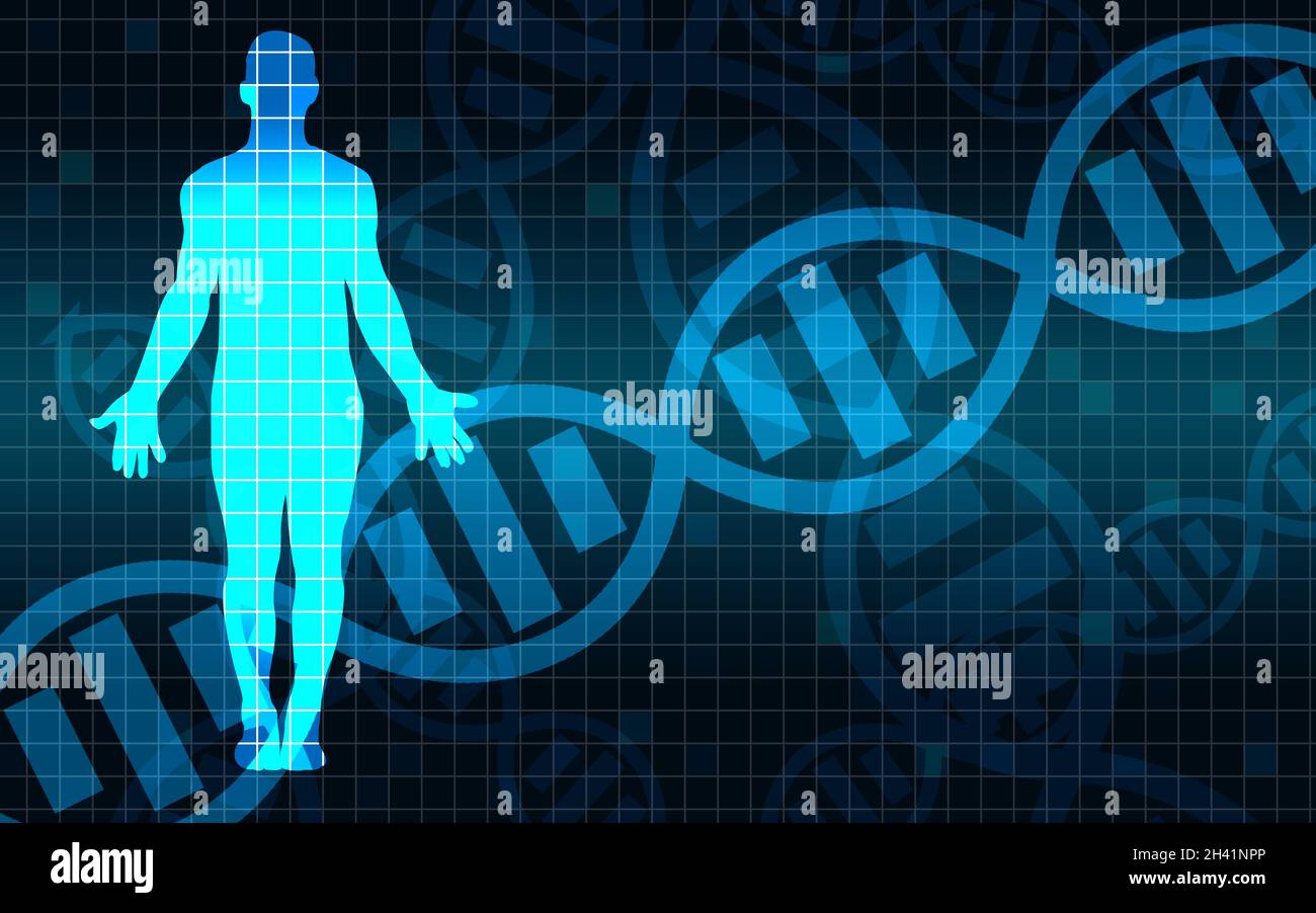 Estructura del cuerpo humano immagini e fotografie stock ad alta ...