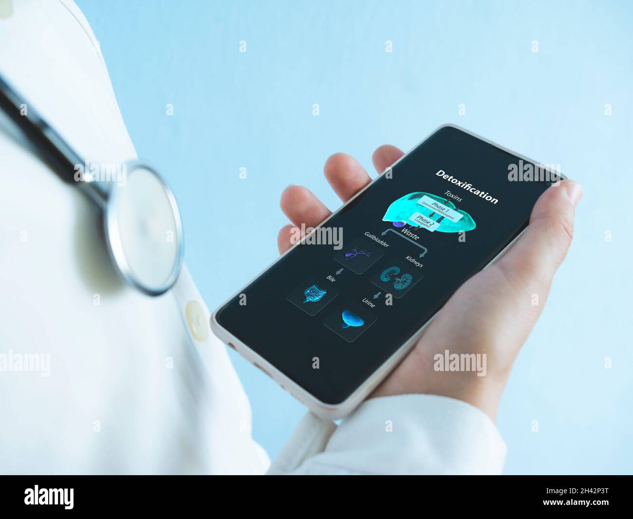 Tossine, fegato. Processo di disintossicazione ed eliminazione. Entrare ...