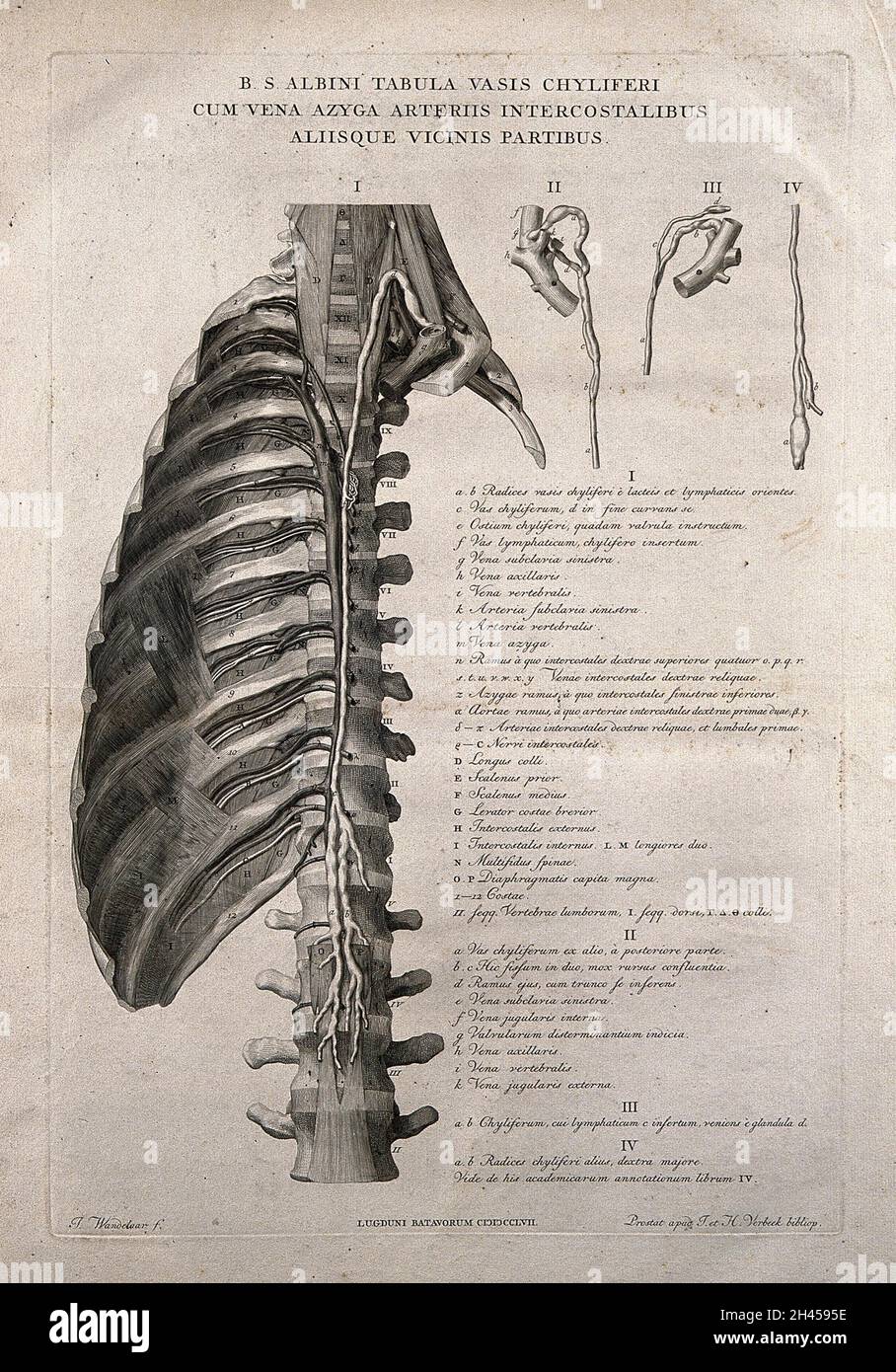 Sistema di drenaggio toracico immagini e fotografie stock ad alta ...