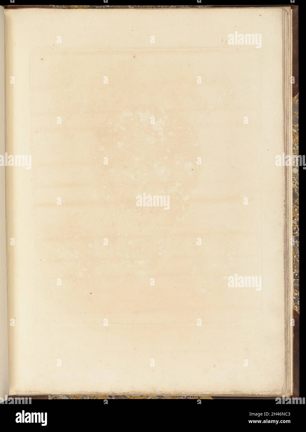 Anatomia dell'utero gravido umano immagini e fotografie stock ad alta ...