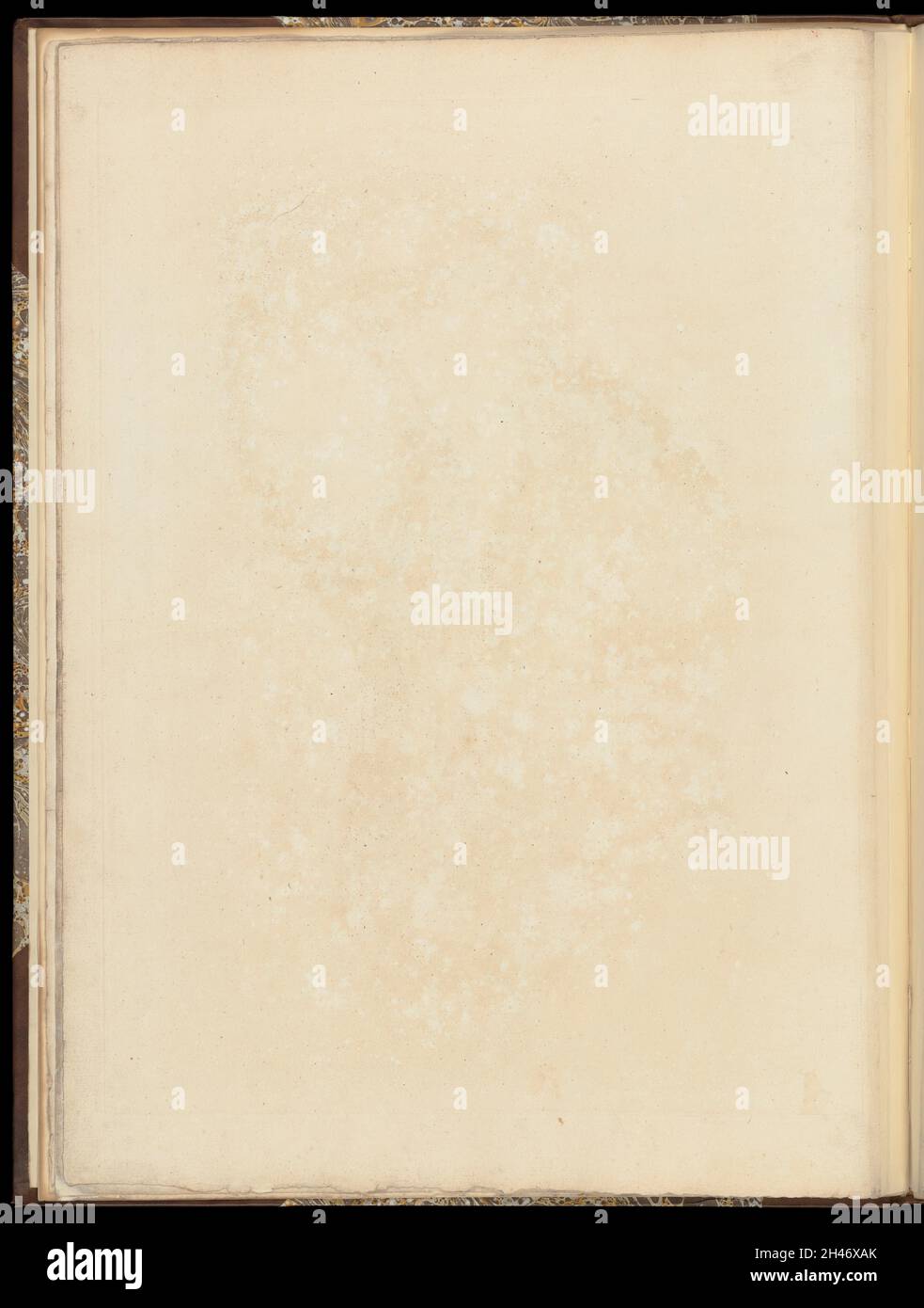 Anatomia dell'utero gravido umano immagini e fotografie stock ad alta ...