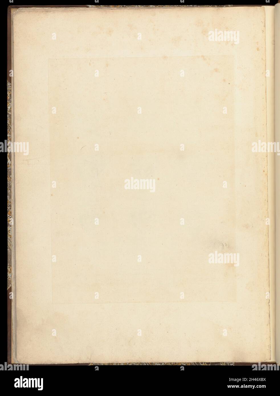 Anatomia dell'utero gravido umano immagini e fotografie stock ad alta ...