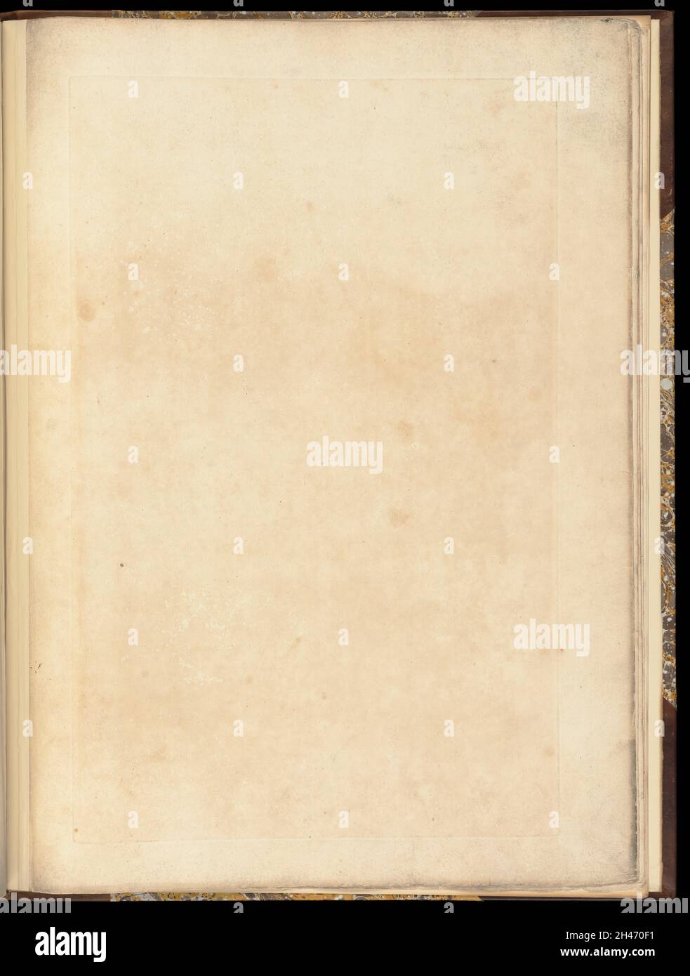 Anatomia dell'utero gravido umano immagini e fotografie stock ad alta ...