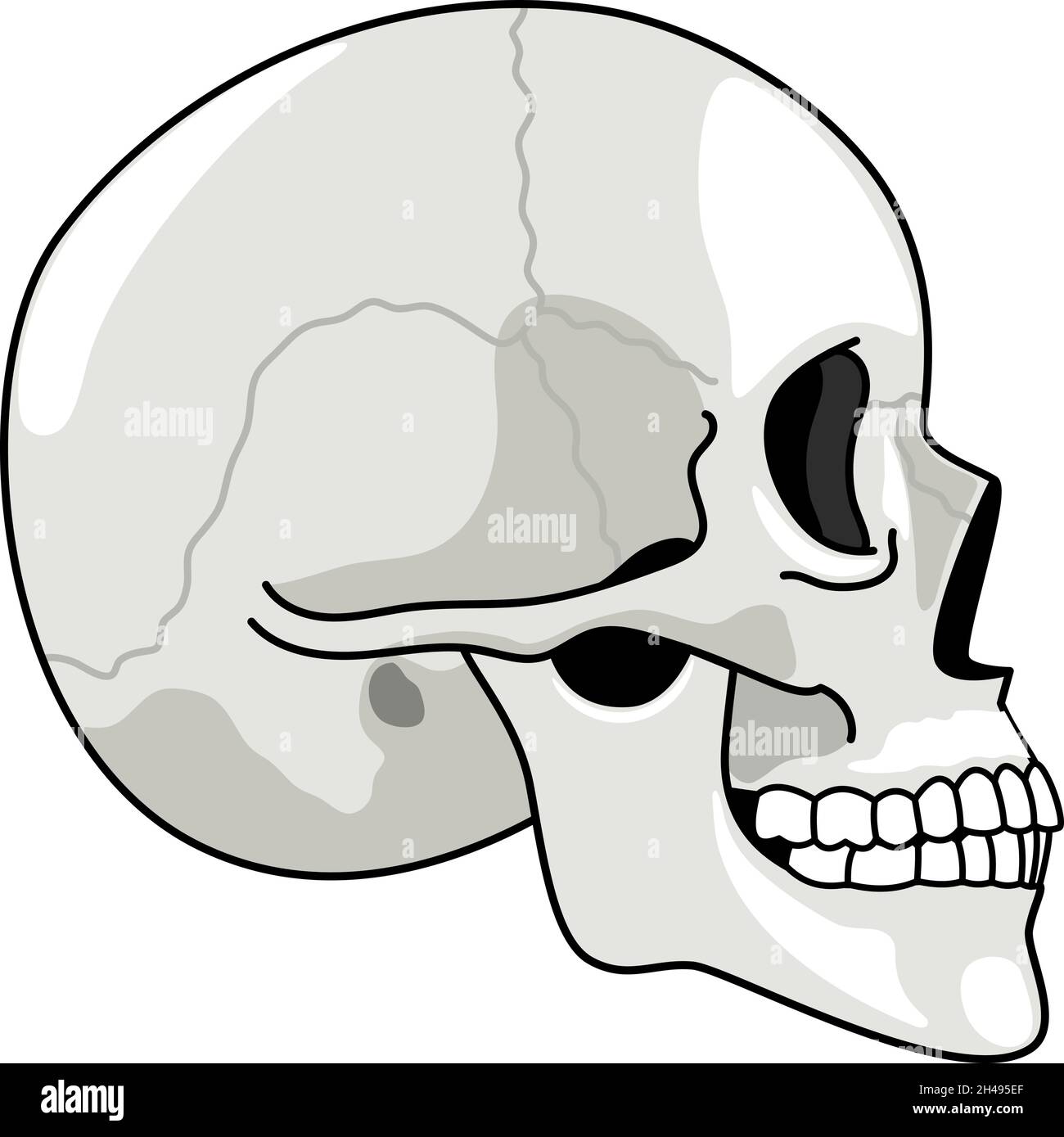 Profilo del cranio. Immagine dei teschi grigi su sfondo bianco, simbolo ...