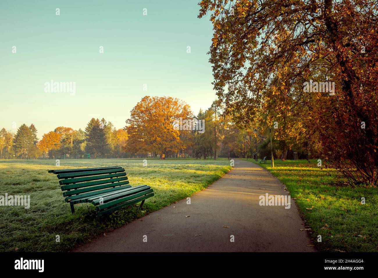 Parco pubblico cittadino immagini e fotografie stock ad alta ...