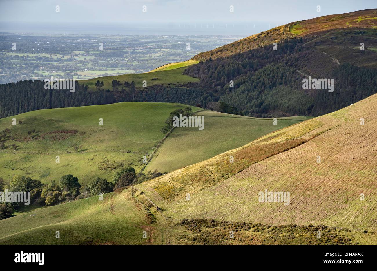 Moel arthur hillfort immagini e fotografie stock ad alta risoluzione ...