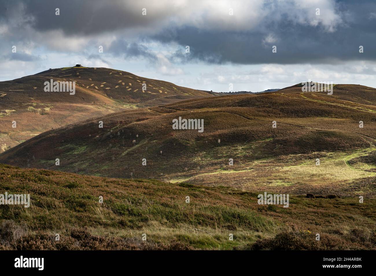 Moel arthur hillfort immagini e fotografie stock ad alta risoluzione ...