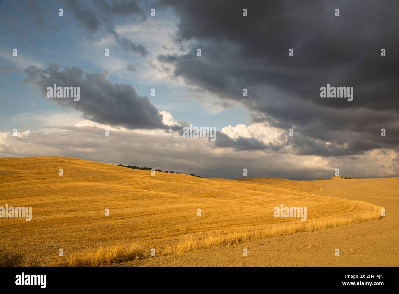 Tramonto della campagna toscana immagini e fotografie stock ad alta ...