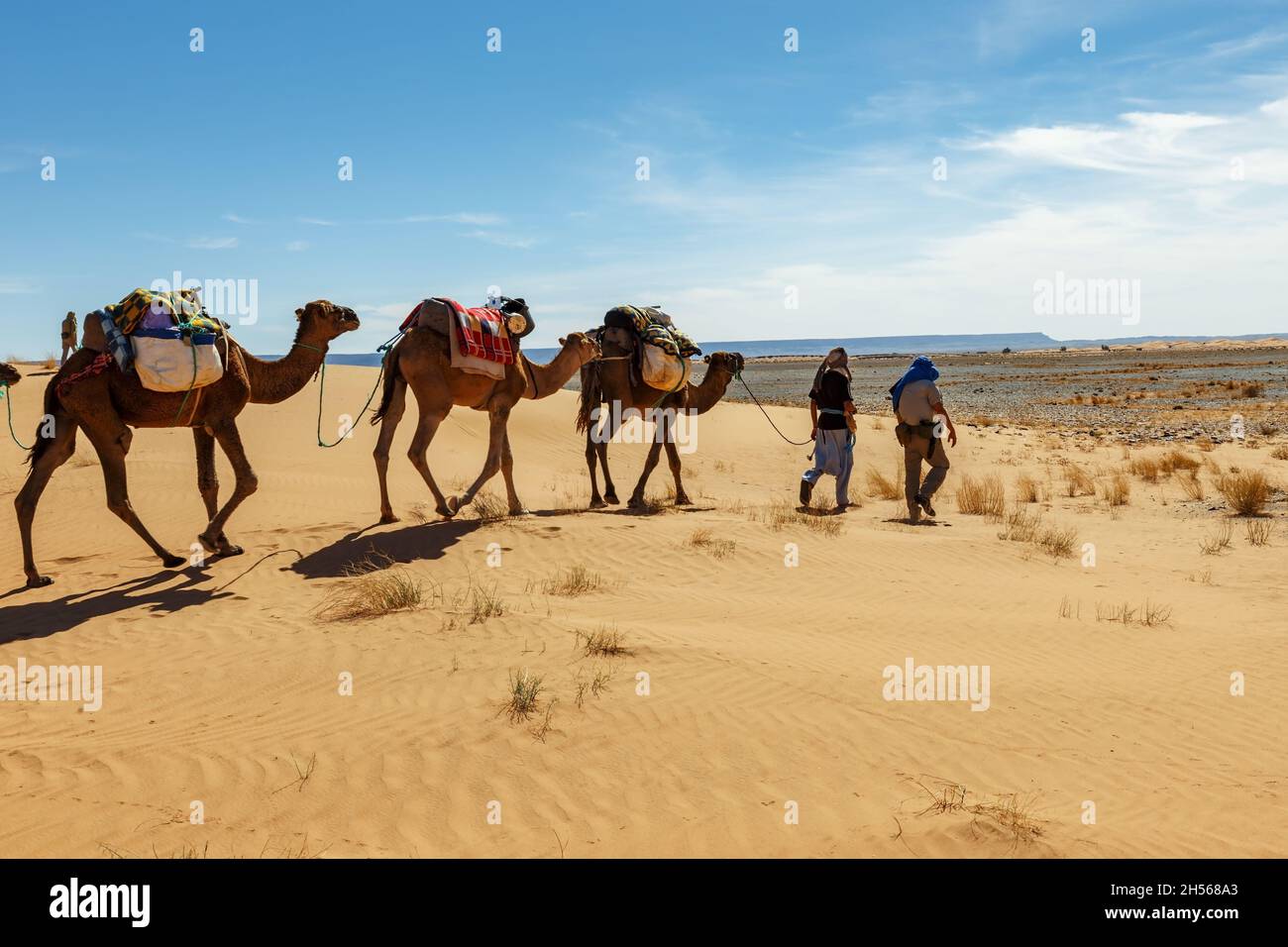 Avventura cammello trekking Immagini e Fotos Stock - Alamy