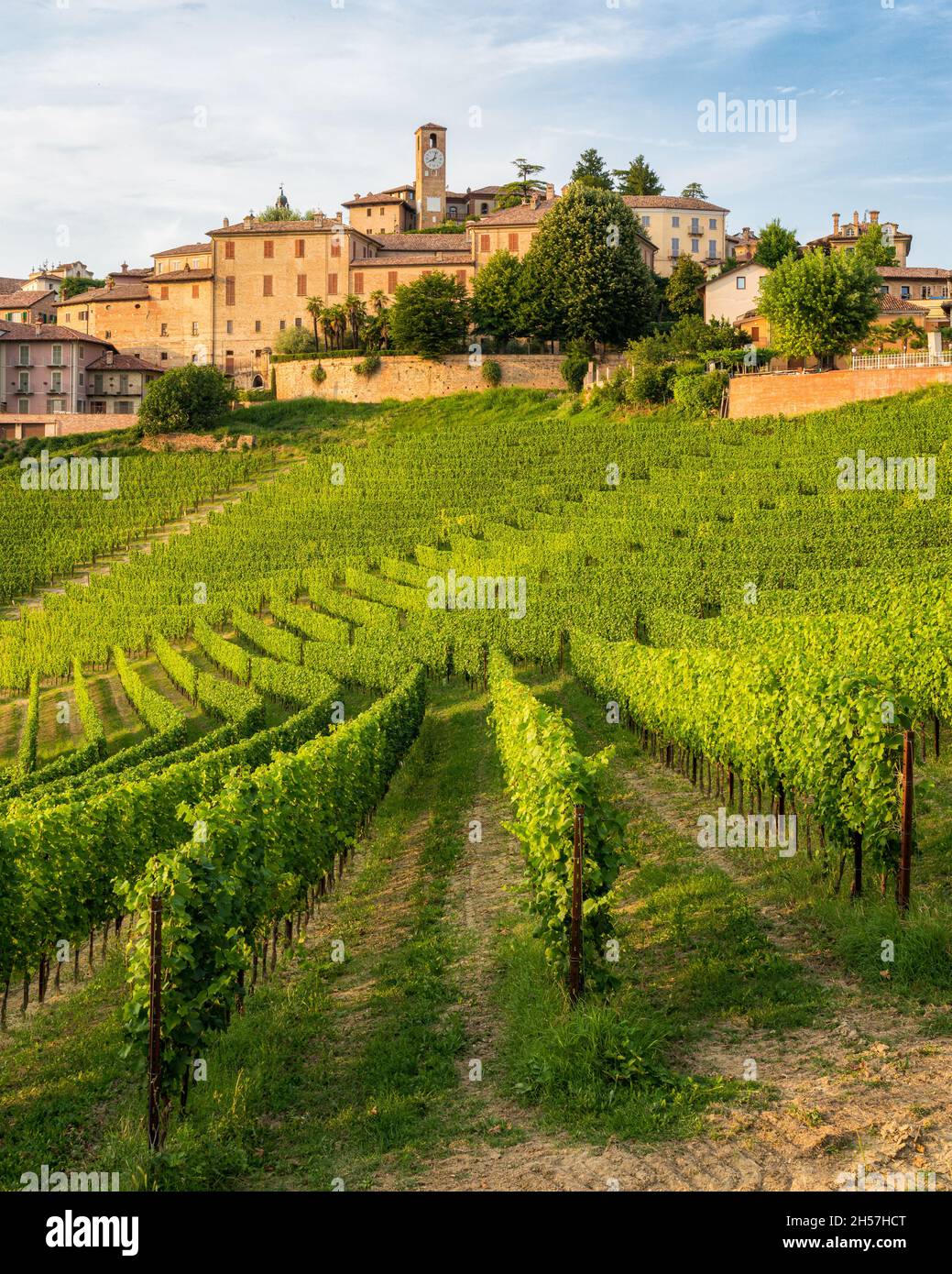 Il bellissimo borgo di Neive e i suoi vigneti nella regione delle ...