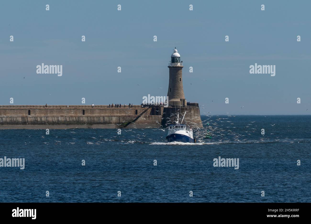 Gabbiani che circondano la barca da pesca immagini e fotografie stock ...