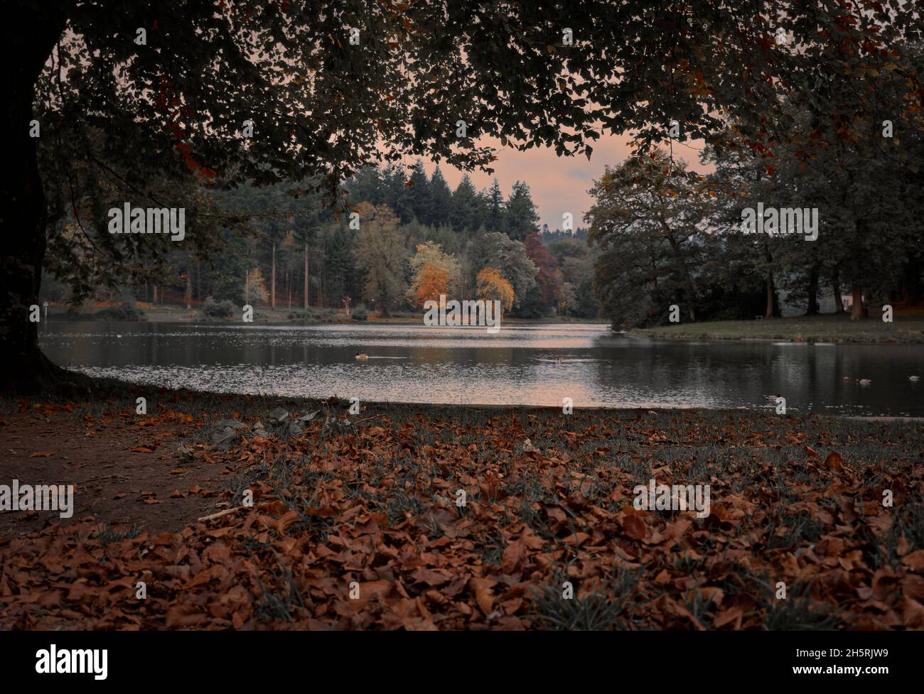 Lago di shearwater immagini e fotografie stock ad alta risoluzione - Alamy