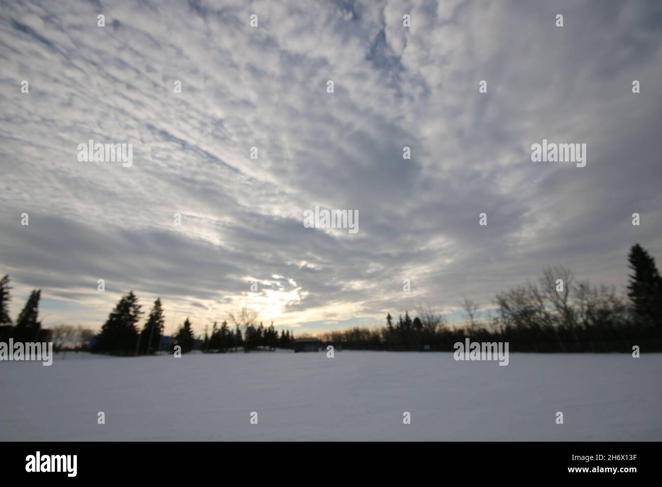 Edmonton winter immagini e fotografie stock ad alta risoluzione - Alamy