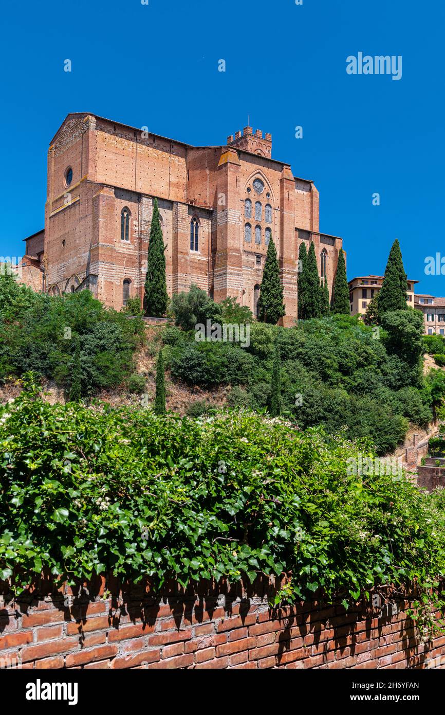 Basilica di san domenico e duomo di siena immagini e fotografie stock ...