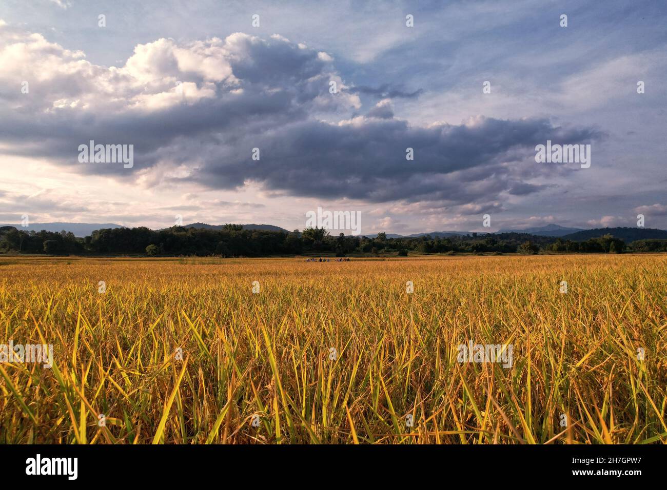 Sfondi tranquilli immagini e fotografie stock ad alta risoluzione - Alamy