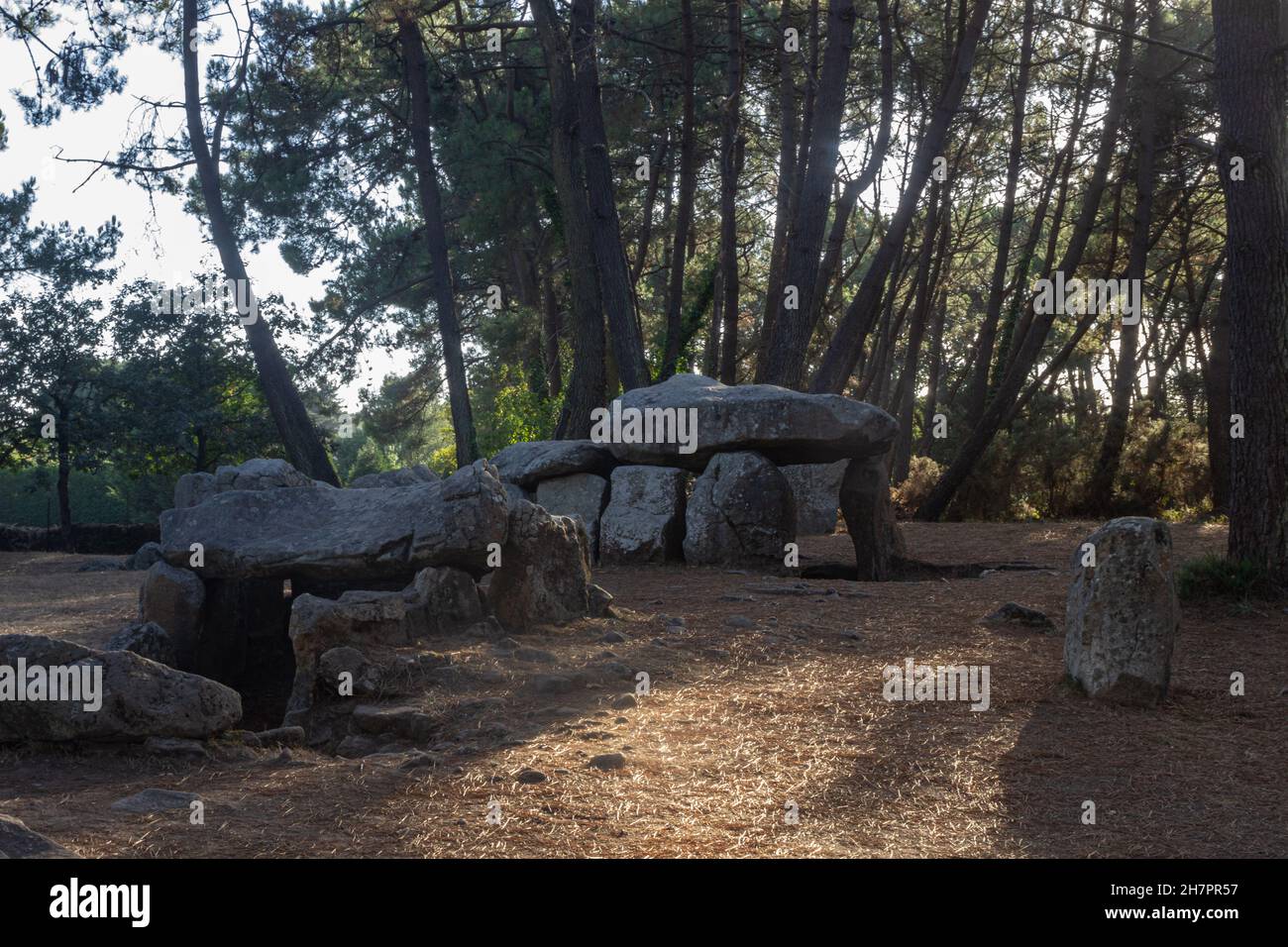 Dolmen megalith bretagne carnac immagini e fotografie stock ad alta ...
